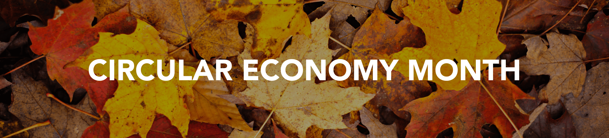 Circular Economy Month (CEM)